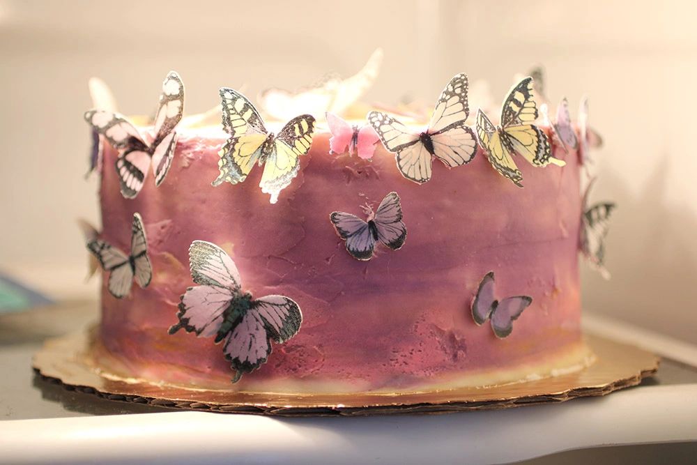 Best Way To Store Fondant Fridge Or Counter 2023 AtOnce best-way-to-store-fondant-fridge-or-counter-2023-atonce